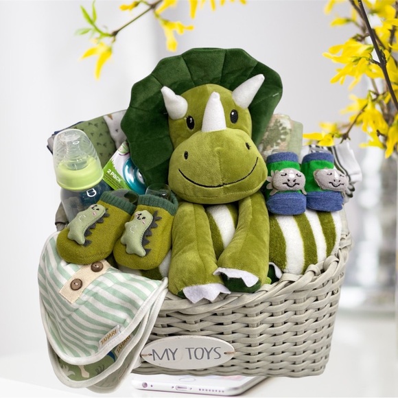 Handmade | Other | Dinosaur Baby Boy Gift Basket | Poshmark